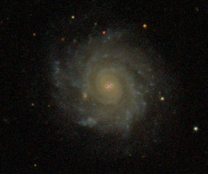 Portfolio | Bruno Rodriguez